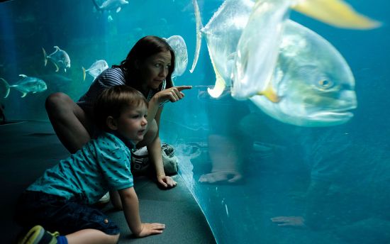 Threeyears Old Hugo His Mother Watch Editorial Stock Photo - Stock ...