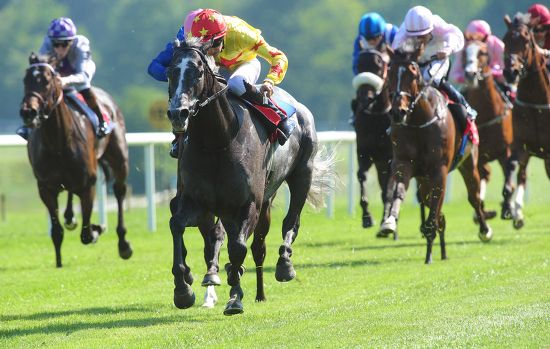 Gowran Park Raptures Delight Donnacha Obrien Editorial Stock Photo ...