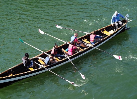 Members Boston Rowing Club Navigate Harbor Editorial Stock Photo ...