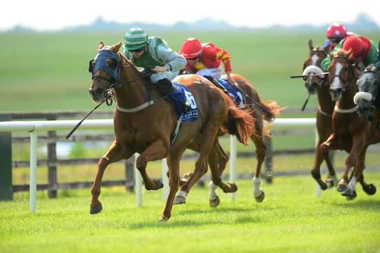 Curragh Jan Van Eyck Danny Sheehy Editorial Stock Photo - Stock Image ...