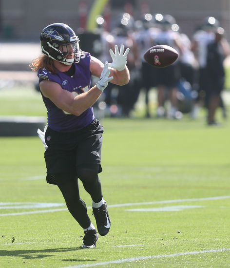Baltimore Ravens Te Hayden Hurst 81 Editorial Stock Photo - Stock Image ...
