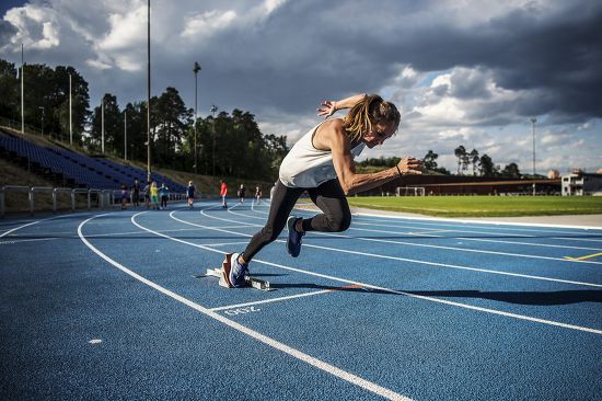 Elin Westerlund Editorial Stock Photo - Stock Image | Shutterstock