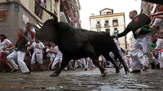 Fighting Bull Ranch Puerto De San Editorial Stock Photo - Stock Image ...