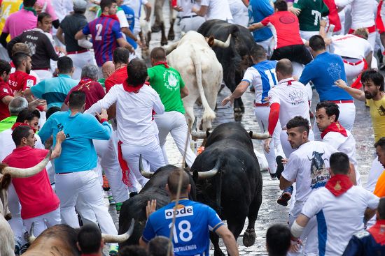 Bulls Ranch Victoriano Del Rio Star Editorial Stock Photo - Stock Image ...