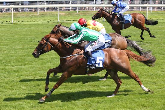 Mr Lupton 5 Ridden By Jockey Editorial Stock Photo - Stock Image ...