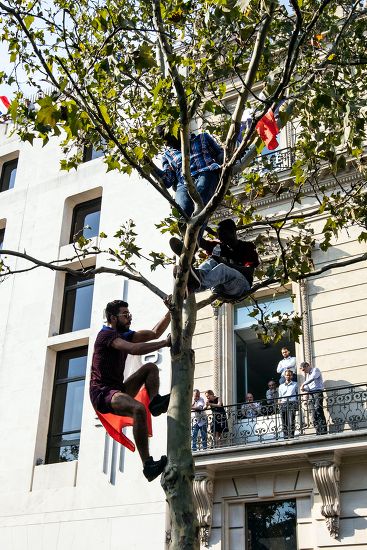 French Supporters Climb On Tree See Editorial Stock Photo - Stock Image ...