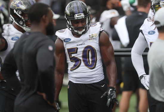 Baltimore Ravens Lb Albert Mcclellan 50 Editorial Stock Photo - Stock ...