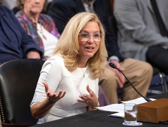 Ellen E Mccarthy Testifies Before United Editorial Stock Photo - Stock ...