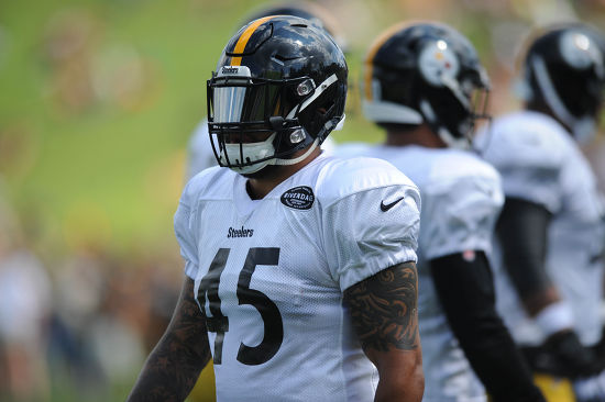 Th Steelers Roosevelt Nix 45 During Editorial Stock Photo - Stock Image ...
