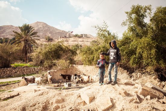 Two Youngs Kids Their Goats Jericho Editorial Stock Photo - Stock Image ...