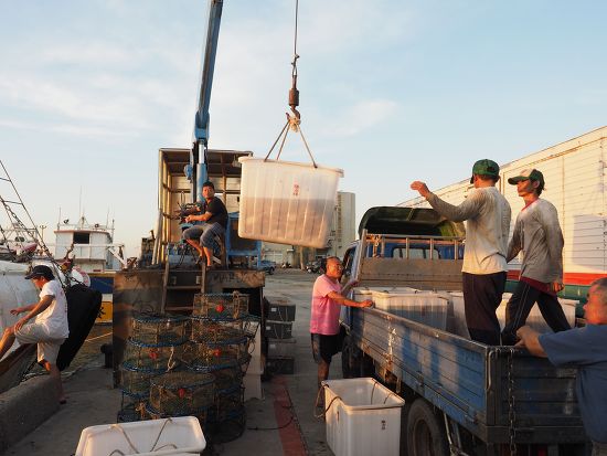 Men Unload Fish Fishing Boat Onto Editorial Stock Photo - Stock Image ...