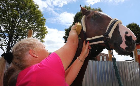Srs Minivendi Gets Wash Hazel Mccarthy Editorial Stock Photo - Stock ...