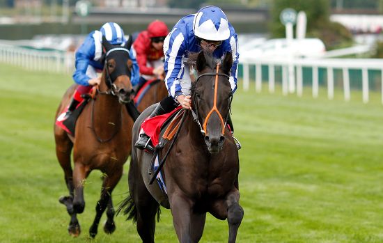 Good Luck Fox Ryan Moore Wins Editorial Stock Photo - Stock Image ...