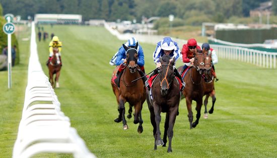Well Done Fox Ryan Moore Wins Editorial Stock Photo - Stock Image ...