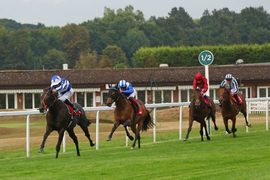 Good Luck Fox Ridden By Ryan Editorial Stock Photo - Stock Image ...