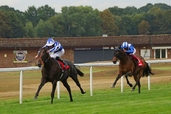 Good Luck Fox Ridden By Ryan Editorial Stock Photo - Stock Image ...