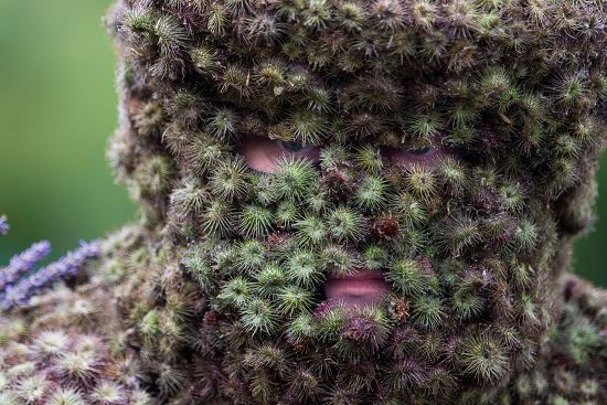 Burryman Meets Residents He Parades Through Editorial Stock Photo ...