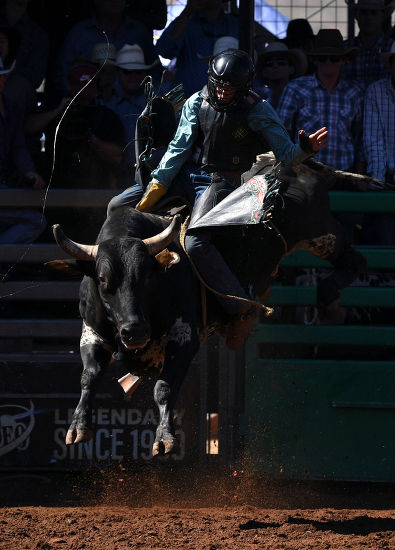 Jack Ramon Competes Open Bull Ride Editorial Stock Photo - Stock Image ...