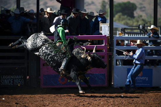Jack Ramon Competes Open Bull Ride Editorial Stock Photo - Stock Image ...