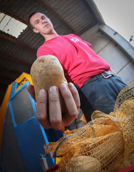 Young Farmer Pierre Delvaux 22 Display Editorial Stock Photo - Stock ...