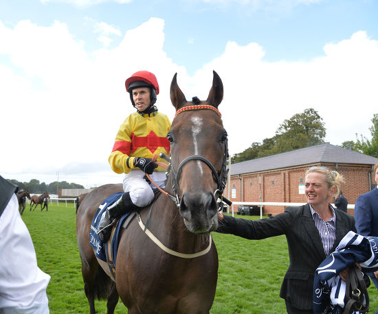 Graham Lee Jockey Alpha Delphini After Editorial Stock Photo - Stock ...