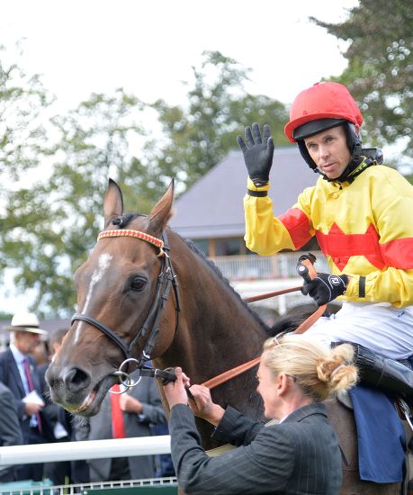 Graham Lee Jockey Alpha Delphini After Editorial Stock Photo - Stock ...