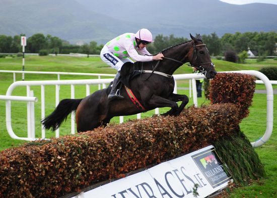 Killarney Cap Daubois Ruby Walsh Jump Editorial Stock Photo - Stock ...