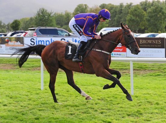 Killarney Wicklow Brave Patrick Mullins Win Editorial Stock Photo ...