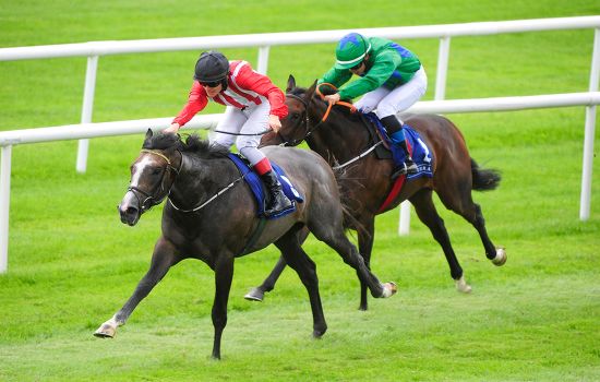 Curragh Lord Rapscallion Denis Lenihan Win Editorial Stock Photo ...