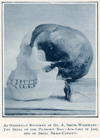 Modern Largebrained Man This Discovery Piltdown Editorial Stock Photo ...