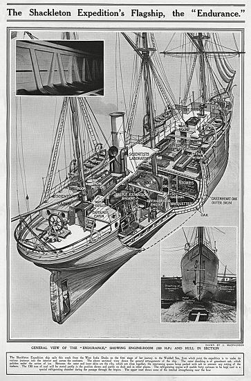 Cutaway View Endurance Flagship Ernest Shackletons Editorial Stock ...
