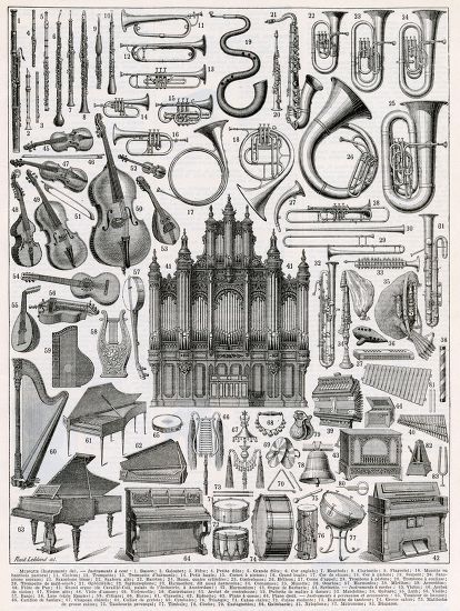 Dizzying Array Musical Instruments Illustration By Editorial Stock ...