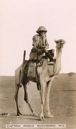 Captain Angus Buchanan Who Led Expedition Editorial Stock Photo - Stock ...