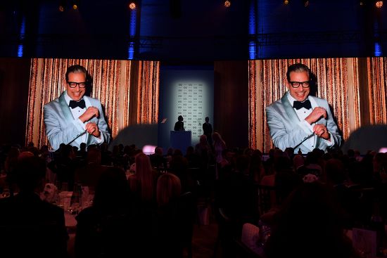 Jeff Goldblum Wins Haig Club Icon Editorial Stock Photo - Stock Image ...