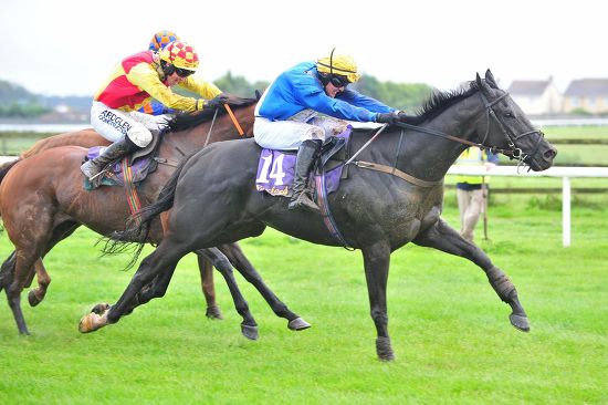Wexford Trenchtown Rock Ryan Treacy Win Editorial Stock Photo - Stock ...