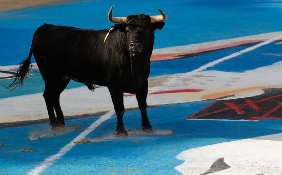 Bull Victoriano Del Rio Ranch Stands Editorial Stock Photo - Stock ...