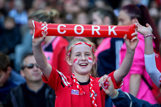 Cork Vs Kilkenny Cork Fan During Editorial Stock Photo - Stock Image ...