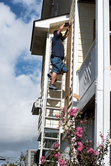 David Baratta Board His Windows Plans Editorial Stock Photo - Stock ...