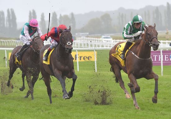 R Mr Lupton Gerald Mosse Wins Editorial Stock Photo - Stock Image ...