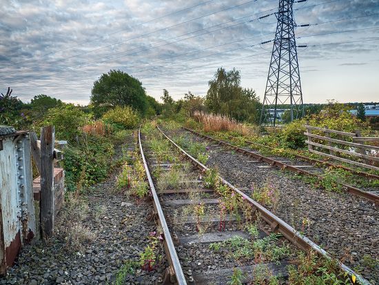 Overgrown Railway Lines Aire Valley Leeds Editorial Stock Photo - Stock ...