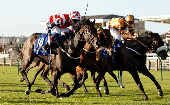 Jazeel Left David Egan Wins Shadwell Editorial Stock Photo - Stock ...