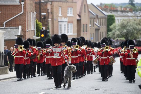 Irish Guards March Through Windsor Before Editorial Stock Photo - Stock ...