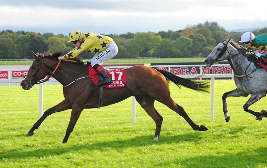 Cork Jake Peter Gary Halpin Win Editorial Stock Photo - Stock Image ...