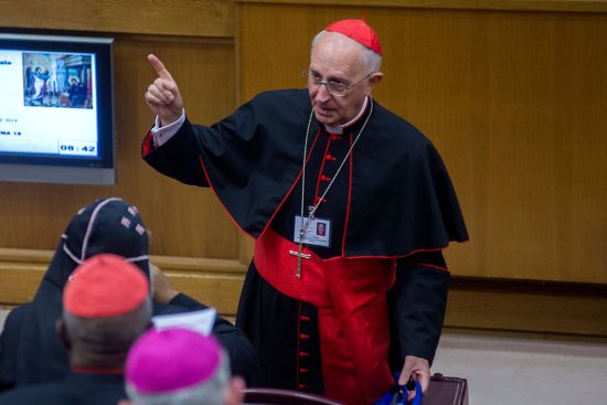 Cardinal Fernando Filoni During Synodal Meeting Editorial Stock Photo ...