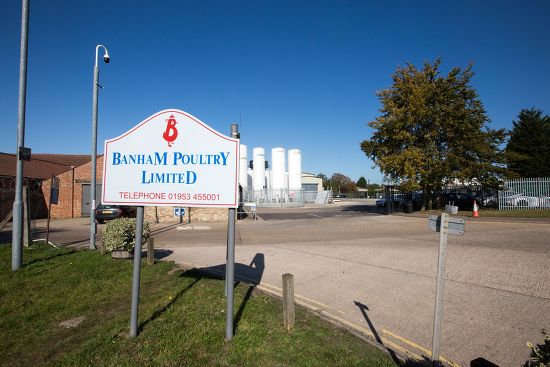 Banham Poultry Editorial Stock Photo - Stock Image | Shutterstock