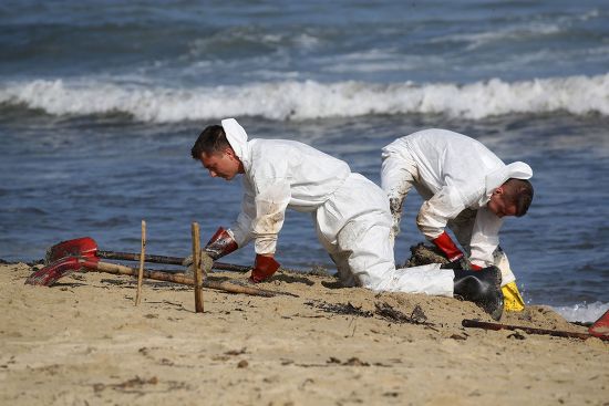 Volunteers Civil Security Officers Clean Oil Editorial Stock Photo ...