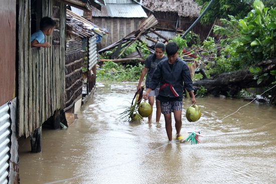 Filipino Villagers Carry Coconut Shells Typhoonhit Editorial Stock ...