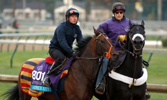 Arthur Kitt Exercising Ahead Breeders Cup Editorial Stock Photo - Stock ...