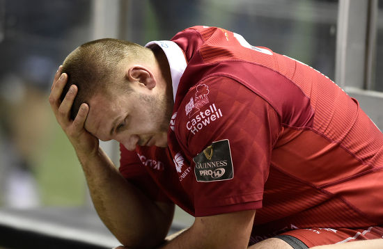 Simon Gardiner Scarlets Sits Dugout Full Editorial Stock Photo - Stock ...