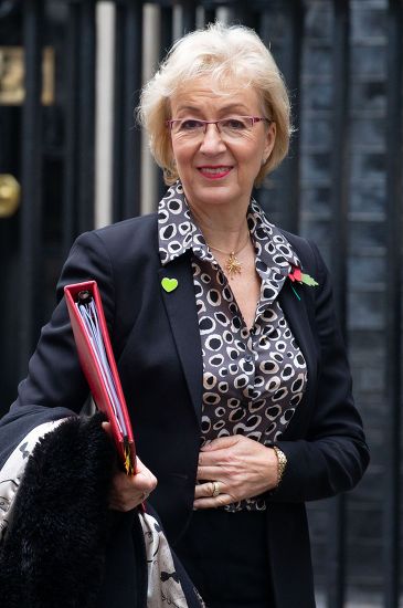 Andrea Leadsom Leader House Commons Lord Editorial Stock Photo - Stock ...
